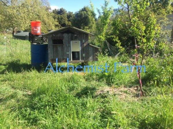 May Farm Update - Alchemist Farm