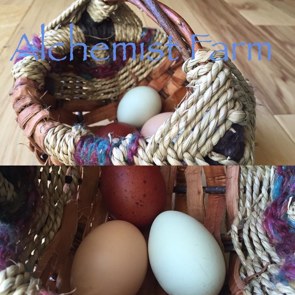 Egg Collecting Baskets - Alchemist Farm
