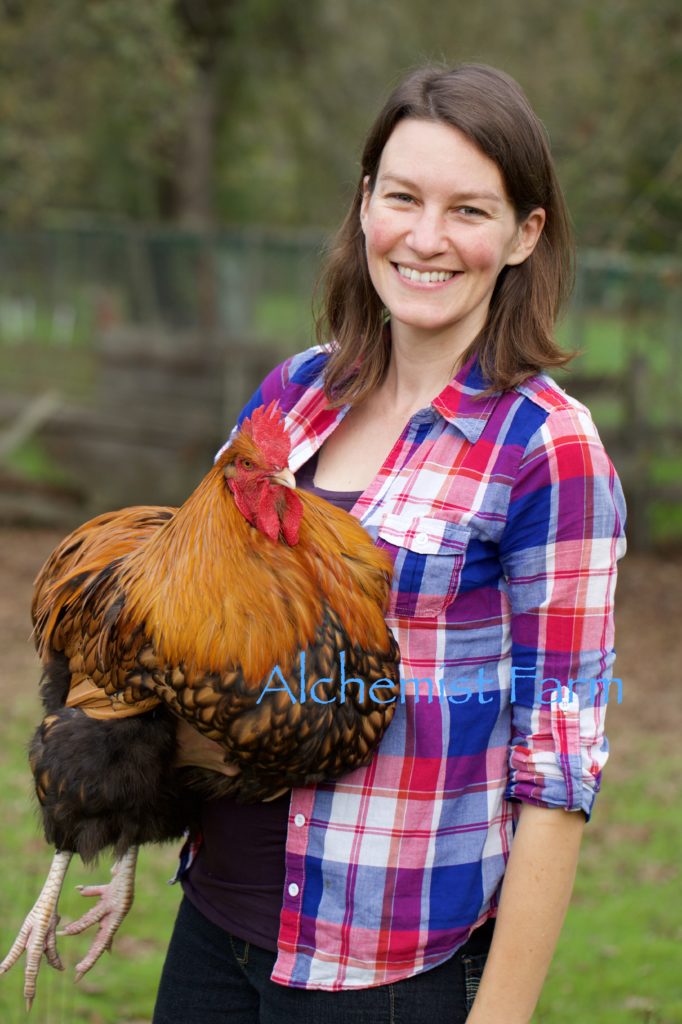 Want To Know All About Backyard Chicken Keeping? We Have You Covered ...