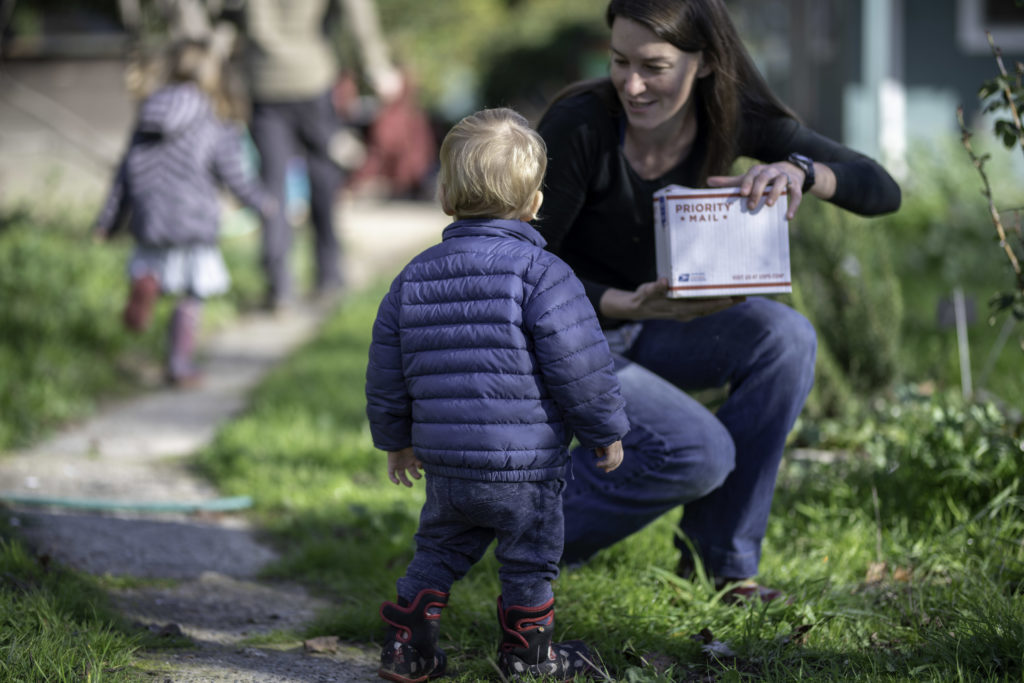 What To Expect With Shipped Chicks - Alchemist Farm