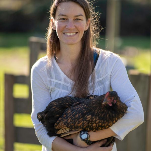 Chicks Archives - Alchemist Farm