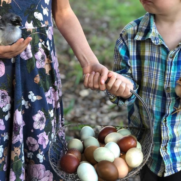 Treats For Humans Archives - Alchemist Farm