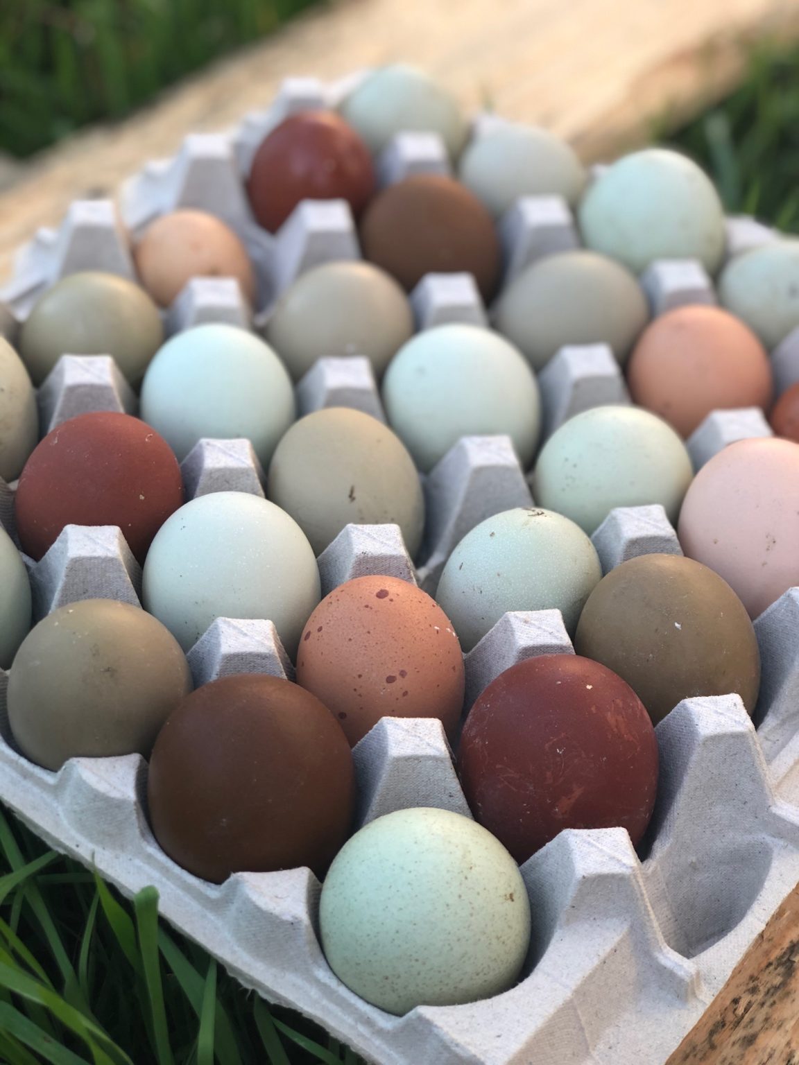 The Colors Are Coming - Alchemist Farm
