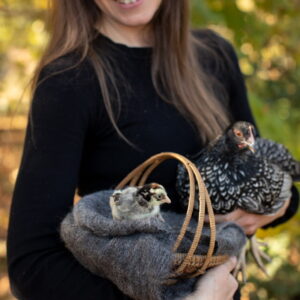 Moss Egger Chick - Alchemist Farm