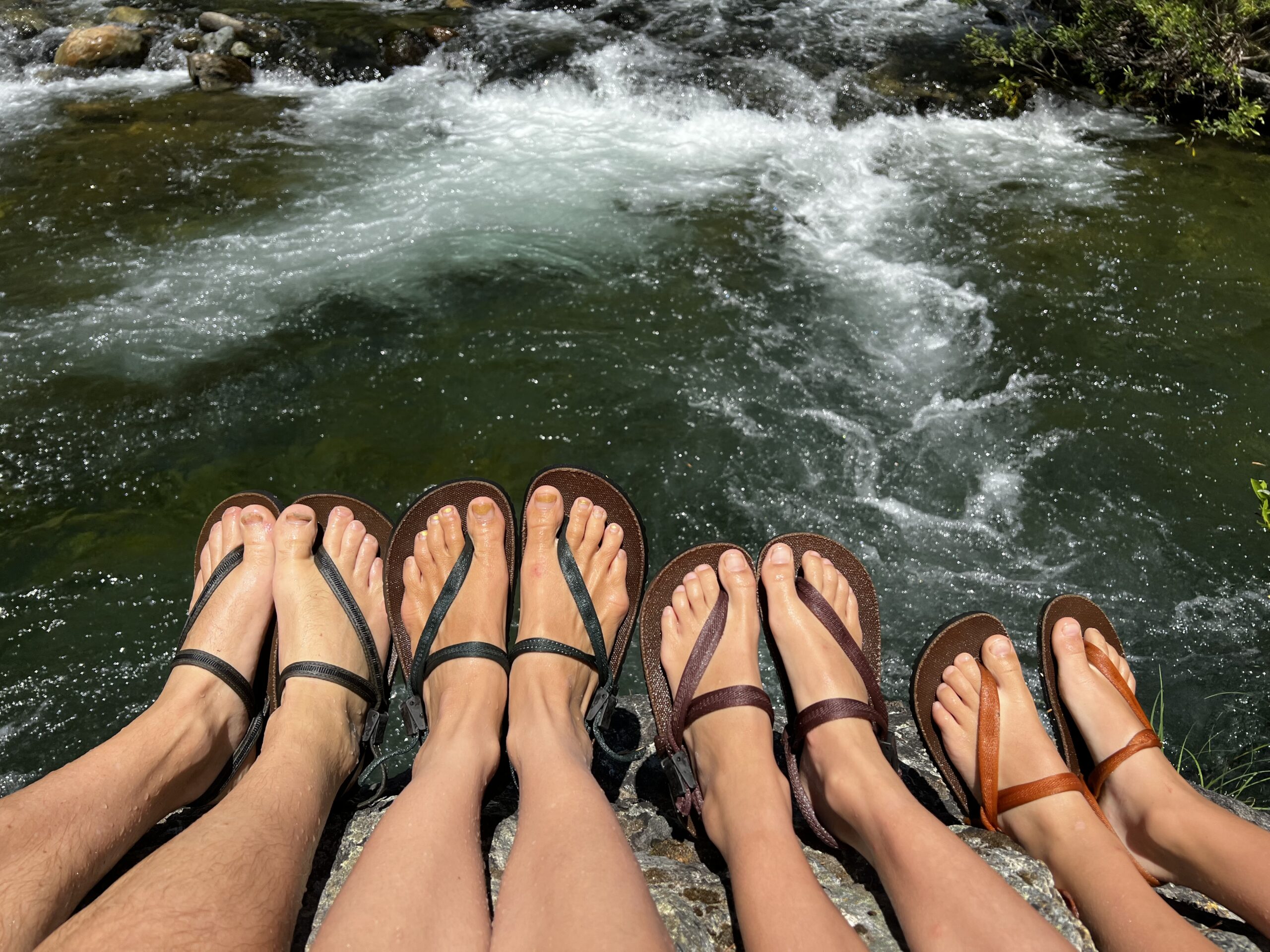 Our Favorite Products - Alchemist Farm